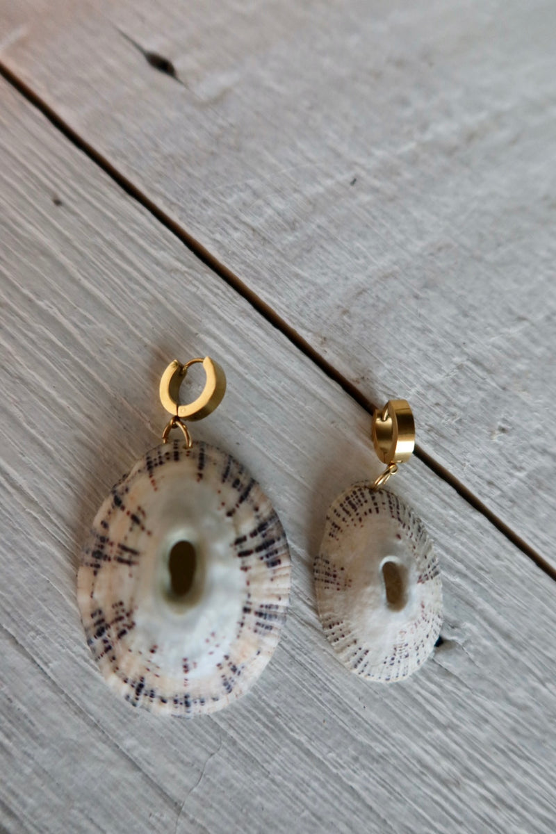 Turks Earrings 2 – Reshelled Jewelry